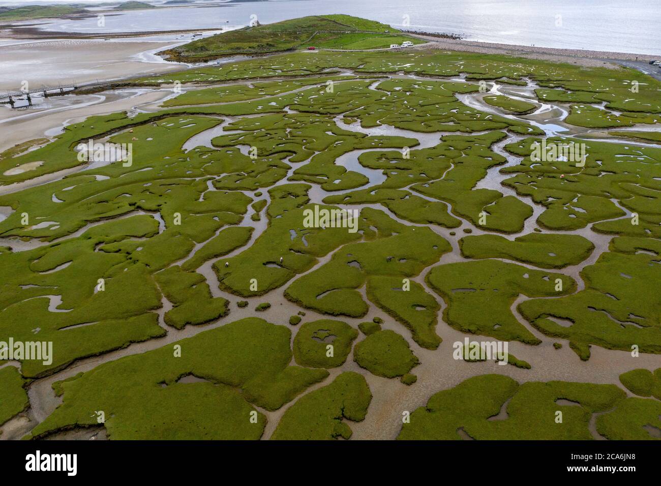 Mulranny salt marshes, Mayo, Ireland Stock Photo - Alamy