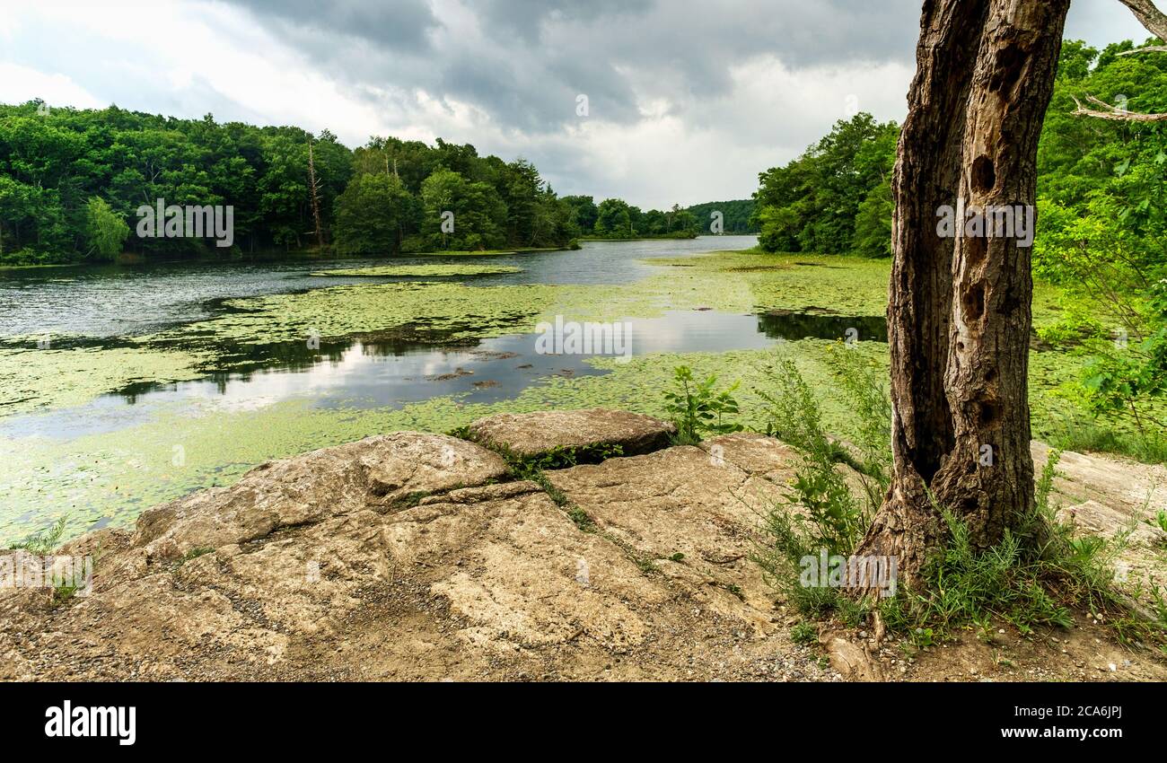 Beautiful summer view of the lake at Wawayanda State Park campground ...