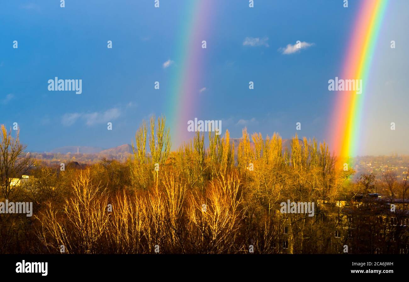 Natural double rainbow over green trees, summer city landscape Stock ...