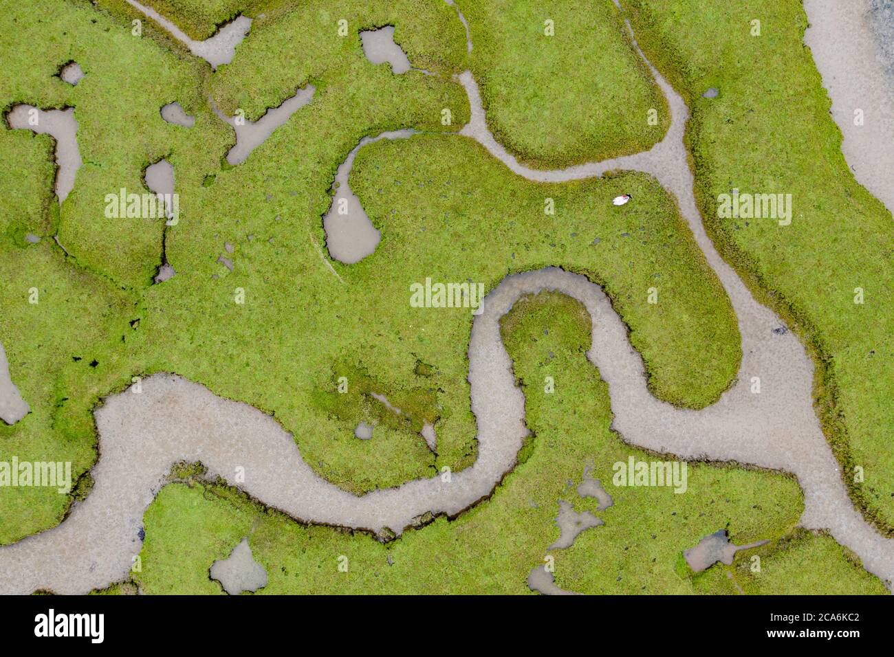 Mulranny salt marshes, Mayo, Ireland Stock Photo - Alamy