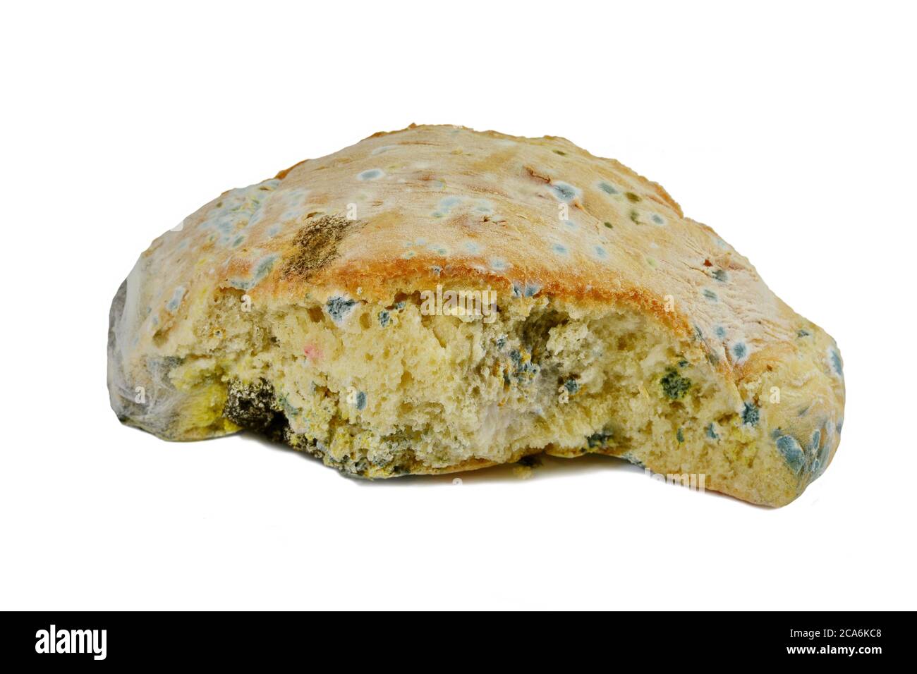 Moldy bread, isolated on white background Stock Photo - Alamy