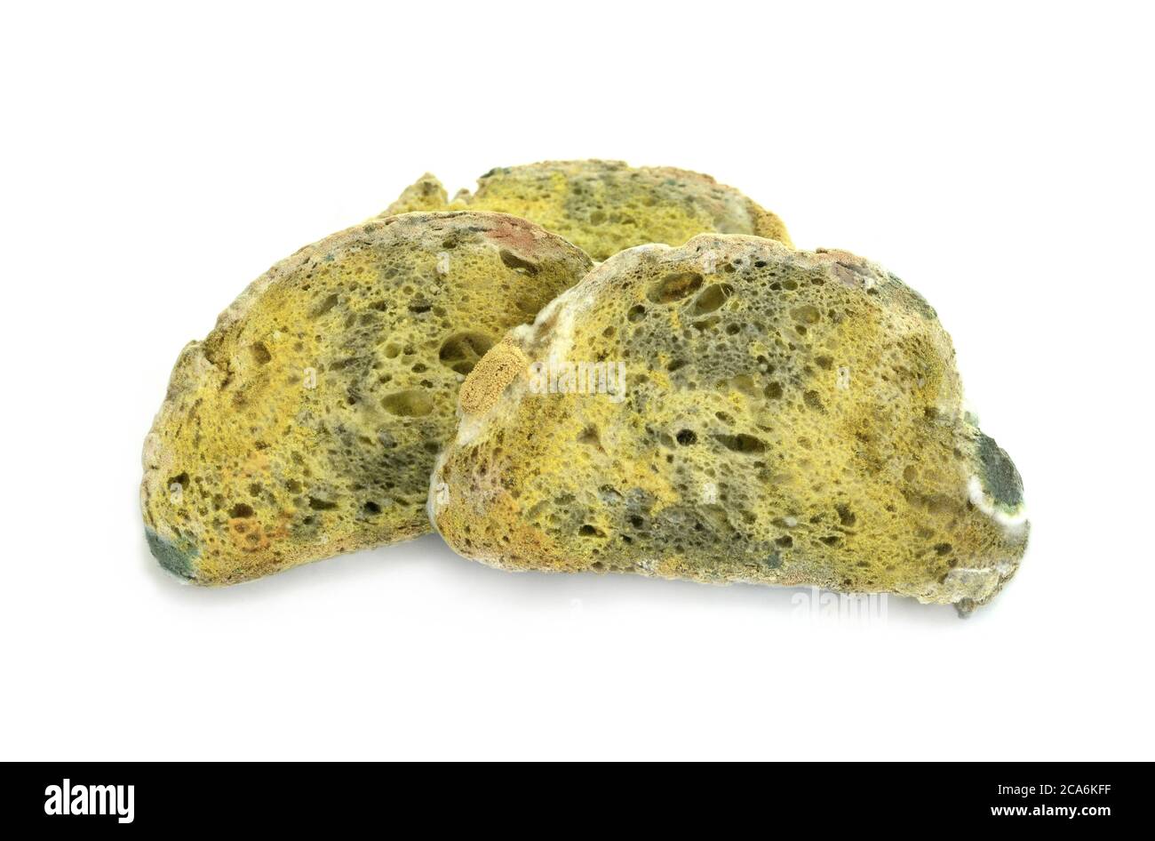 Moldy bread, isolated on white background Stock Photo - Alamy