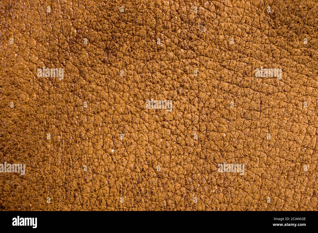 Old vintage genuine soft brown leather texture background, top layer ...