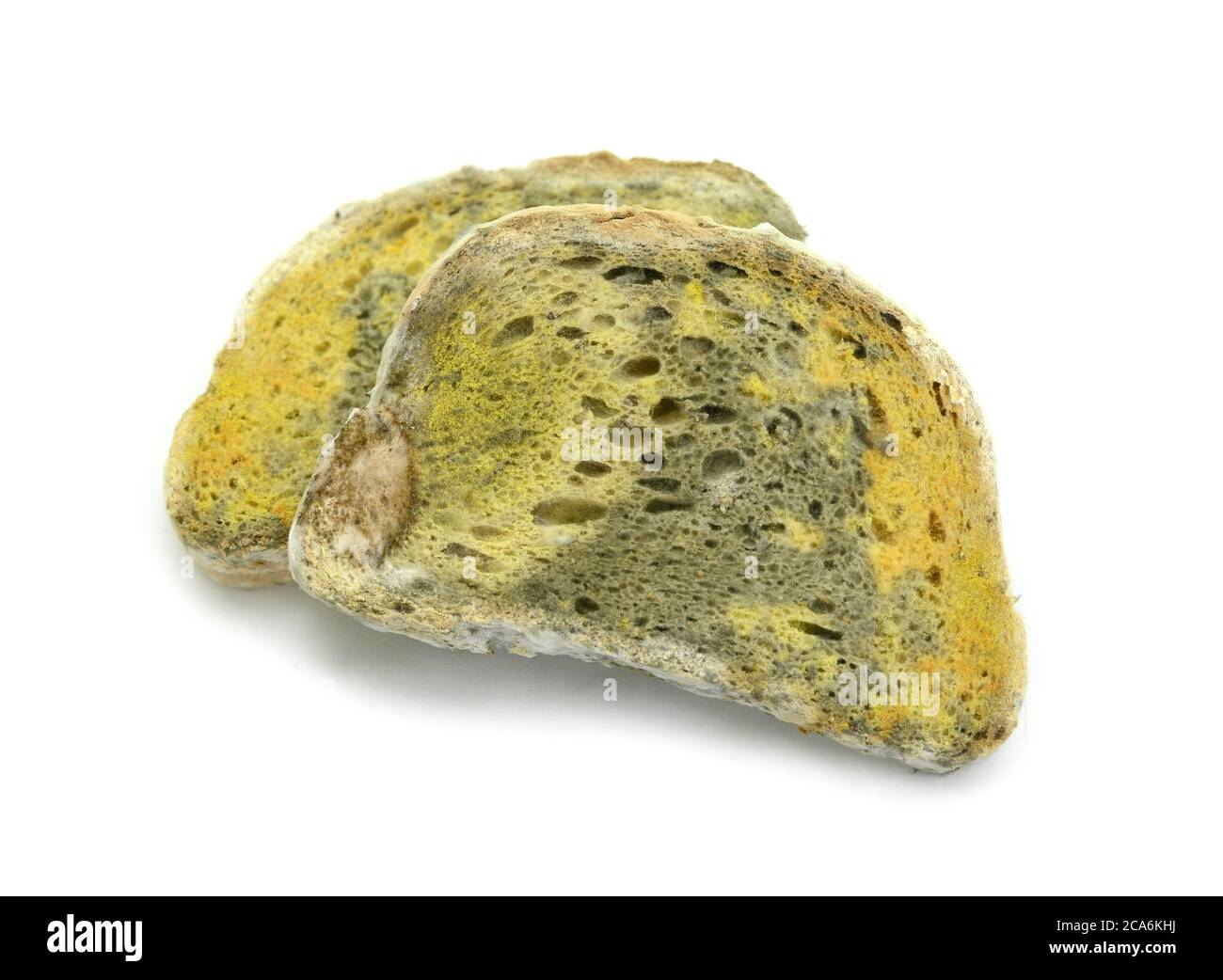 Moldy bread, isolated on white background Stock Photo - Alamy