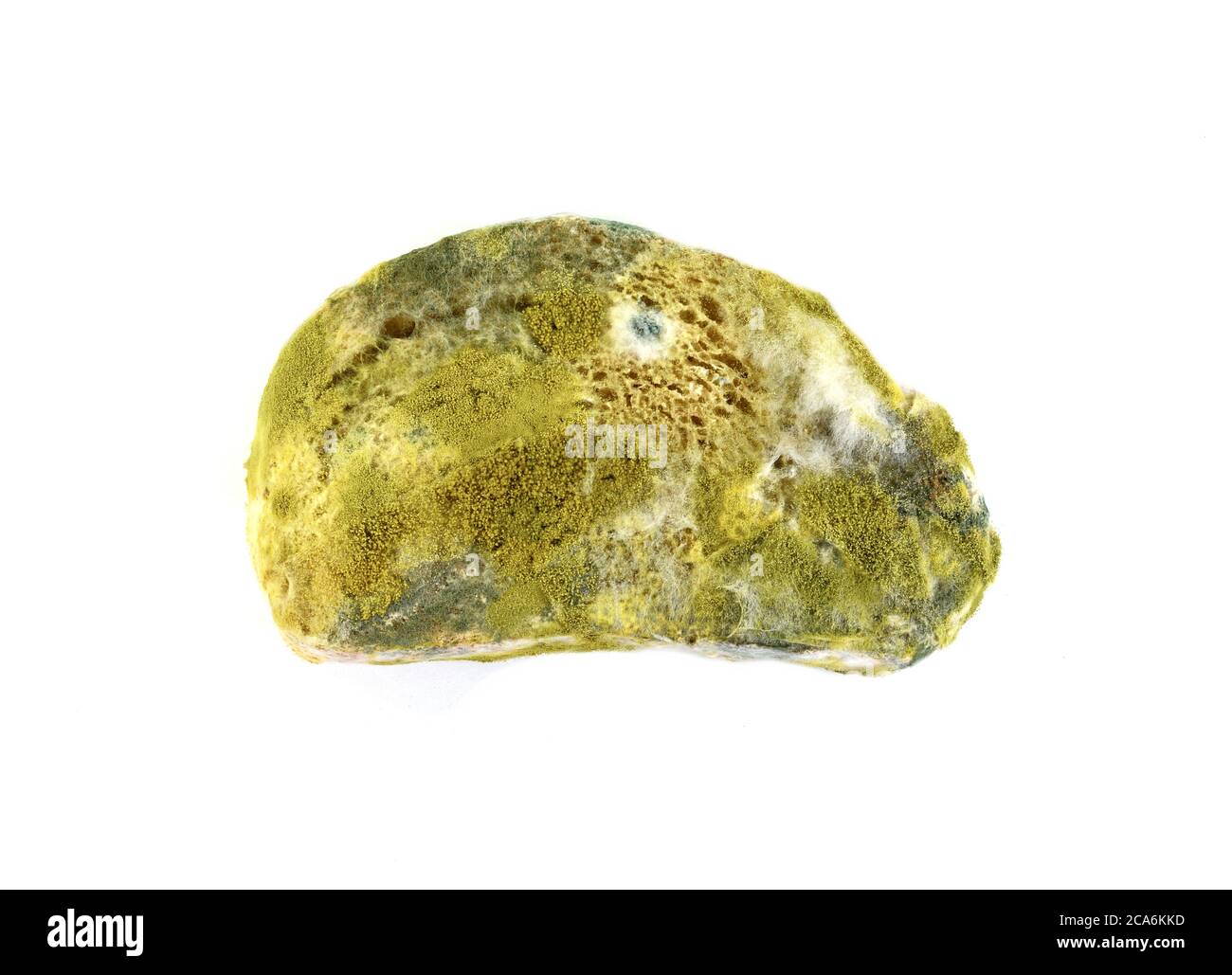 Moldy bread, isolated on white background Stock Photo - Alamy