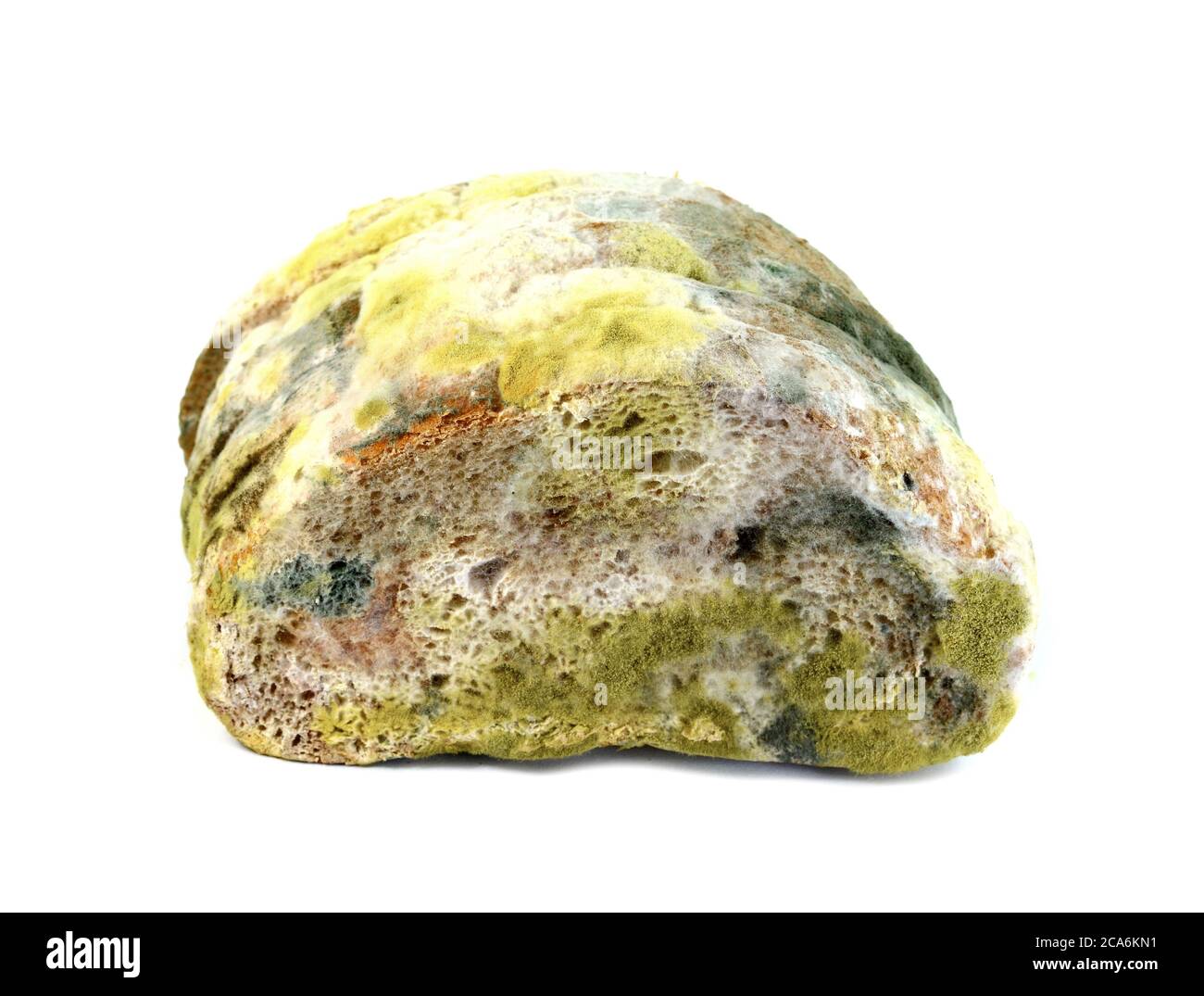Moldy bread, isolated on white background Stock Photo - Alamy
