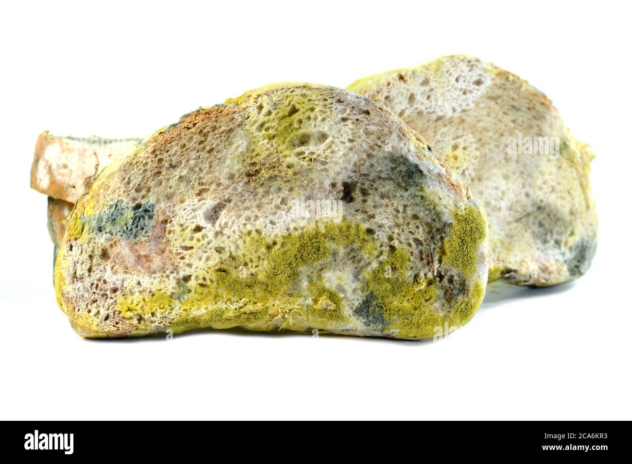 Moldy bread, isolated on white background Stock Photo - Alamy