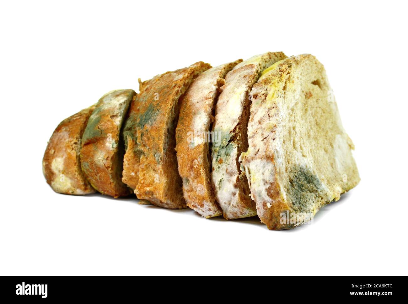 Moldy bread, isolated on white background Stock Photo - Alamy