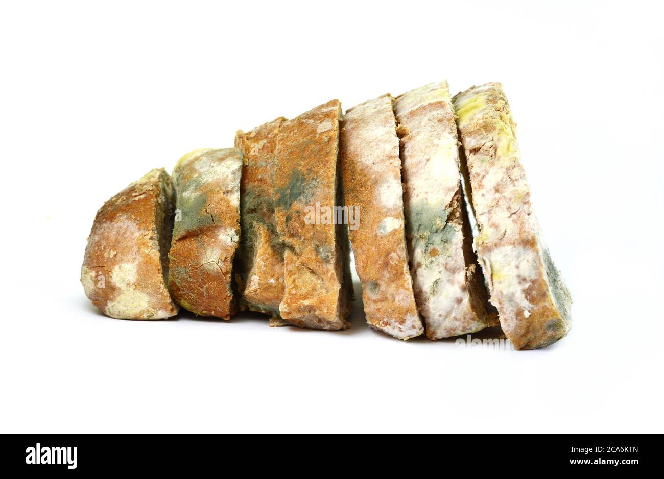 Moldy bread, isolated on white background Stock Photo - Alamy