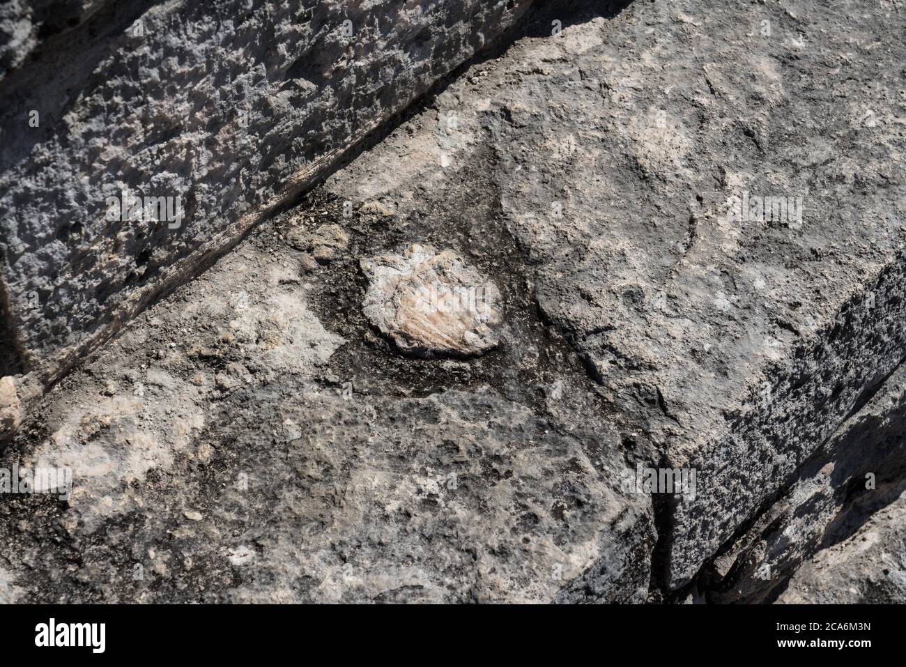 Mexican blocks hi-res stock photography and images - Alamy