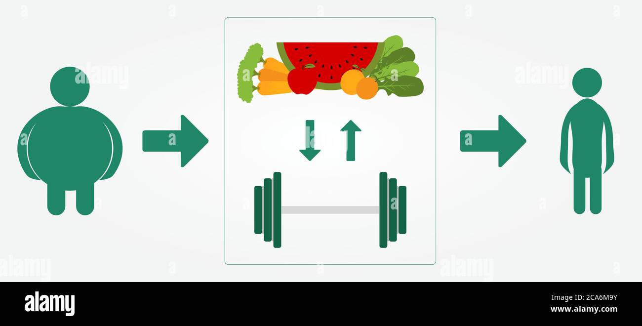 Food transformation process Stock Vector Images - Alamy