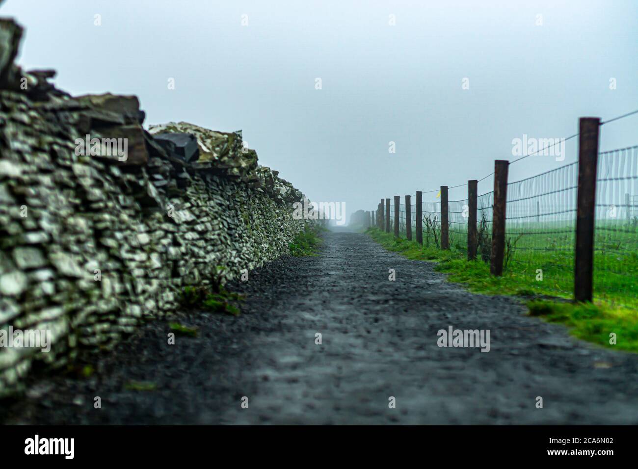 Back country path in Ireland Stock Photo - Alamy