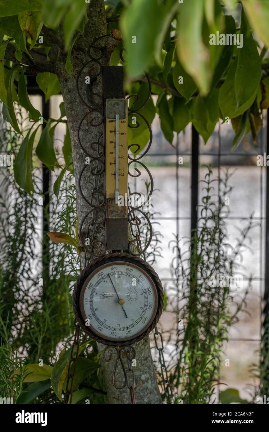 Outdoor old barometer, hung on a tree in garden of a house in a village ...