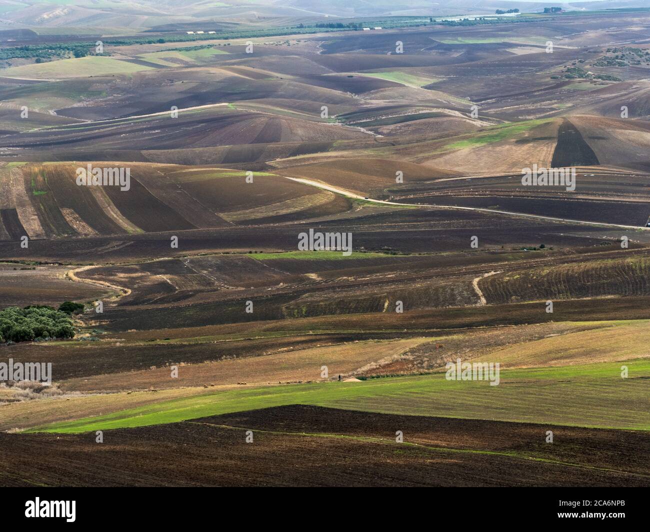 Highlands with autumn fields with harvest, Morocco Stock Photo - Alamy