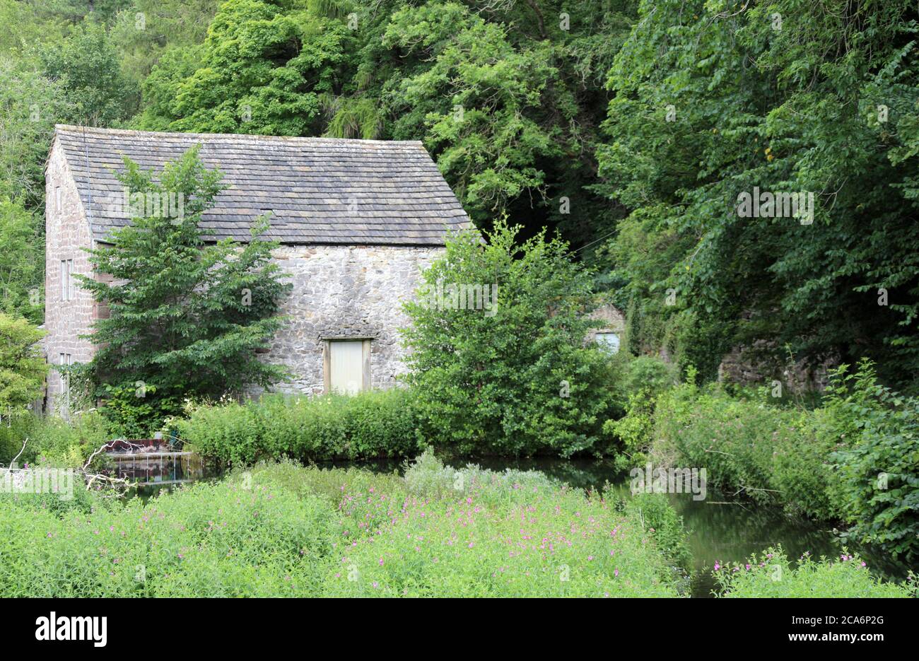 Old Corn Mill on the River Lathkill at the Peak District hamlet of ...