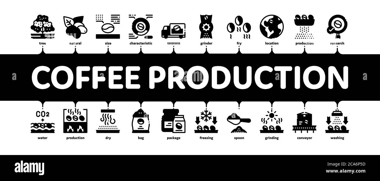 Coffee Production Minimal Infographic Banner Vector Stock Vector Image ...