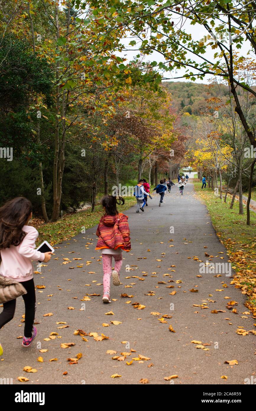 Kids running down a road with yellow leaves in autumn Stock Photo - Alamy