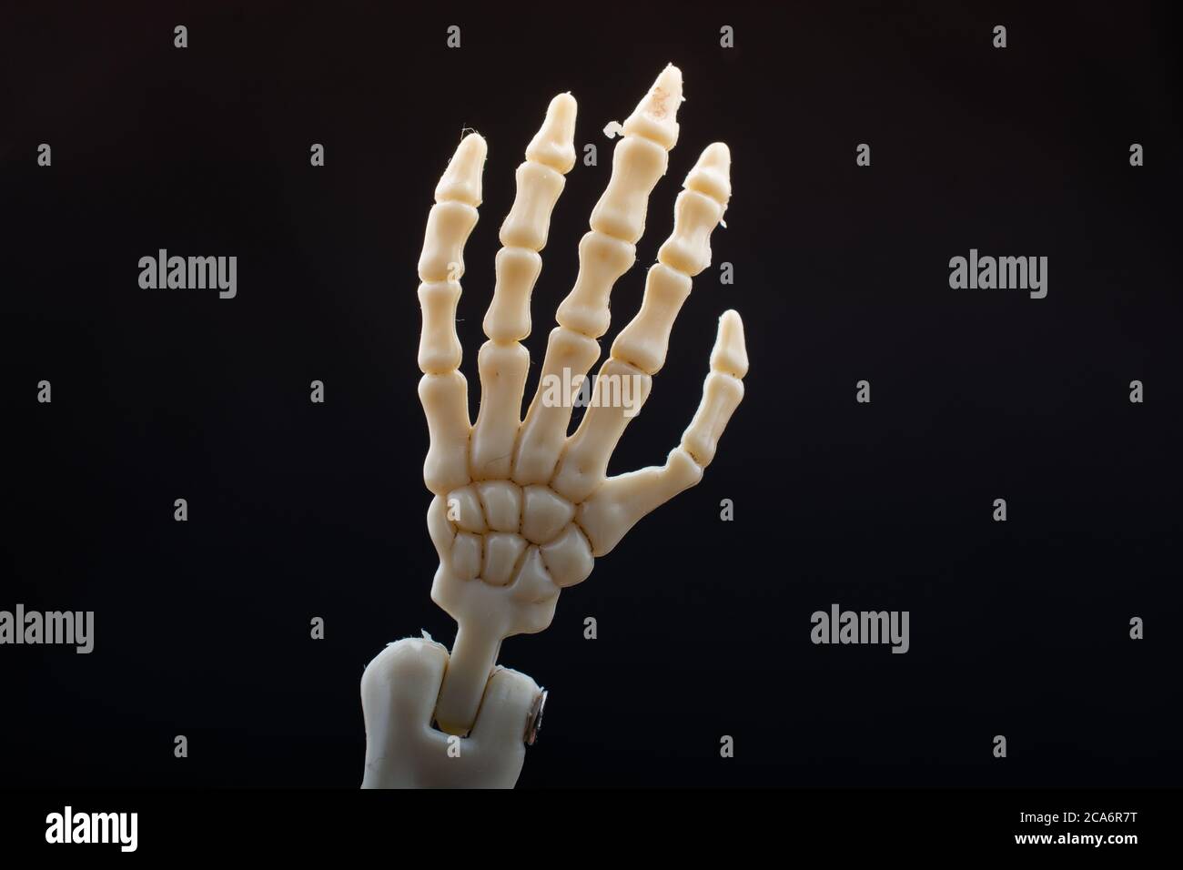 Human skeleton hand model for medical anatomy science Medical clinic ...
