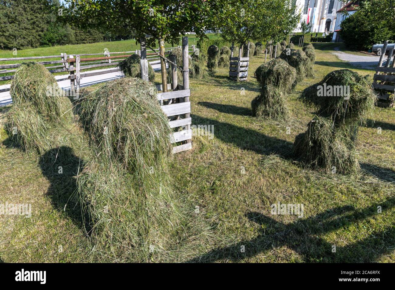 Drying Hay in Bavaria, Germany Stock Photo - Alamy