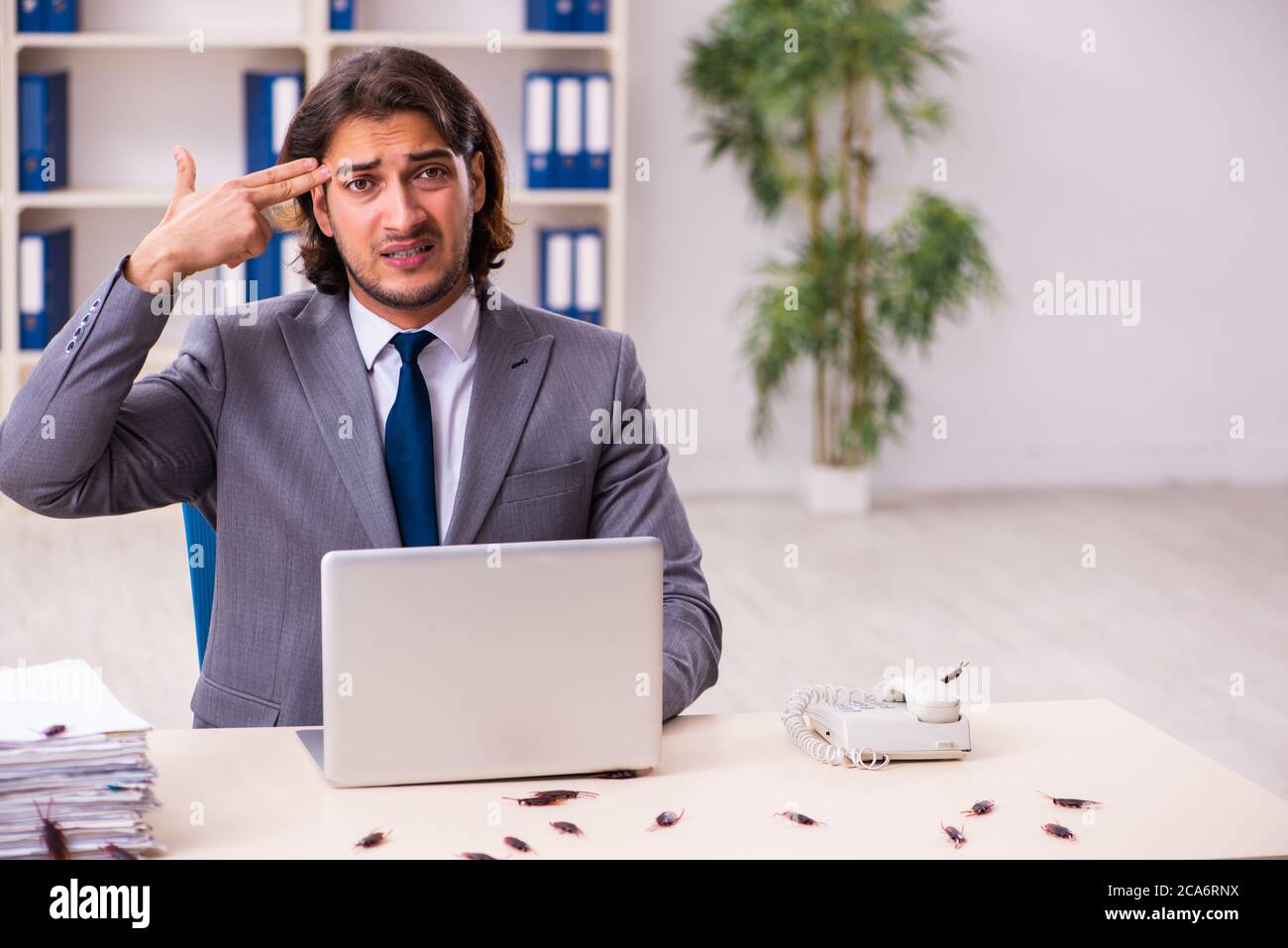 Young employee and too many cockroaches in the office Stock Photo - Alamy