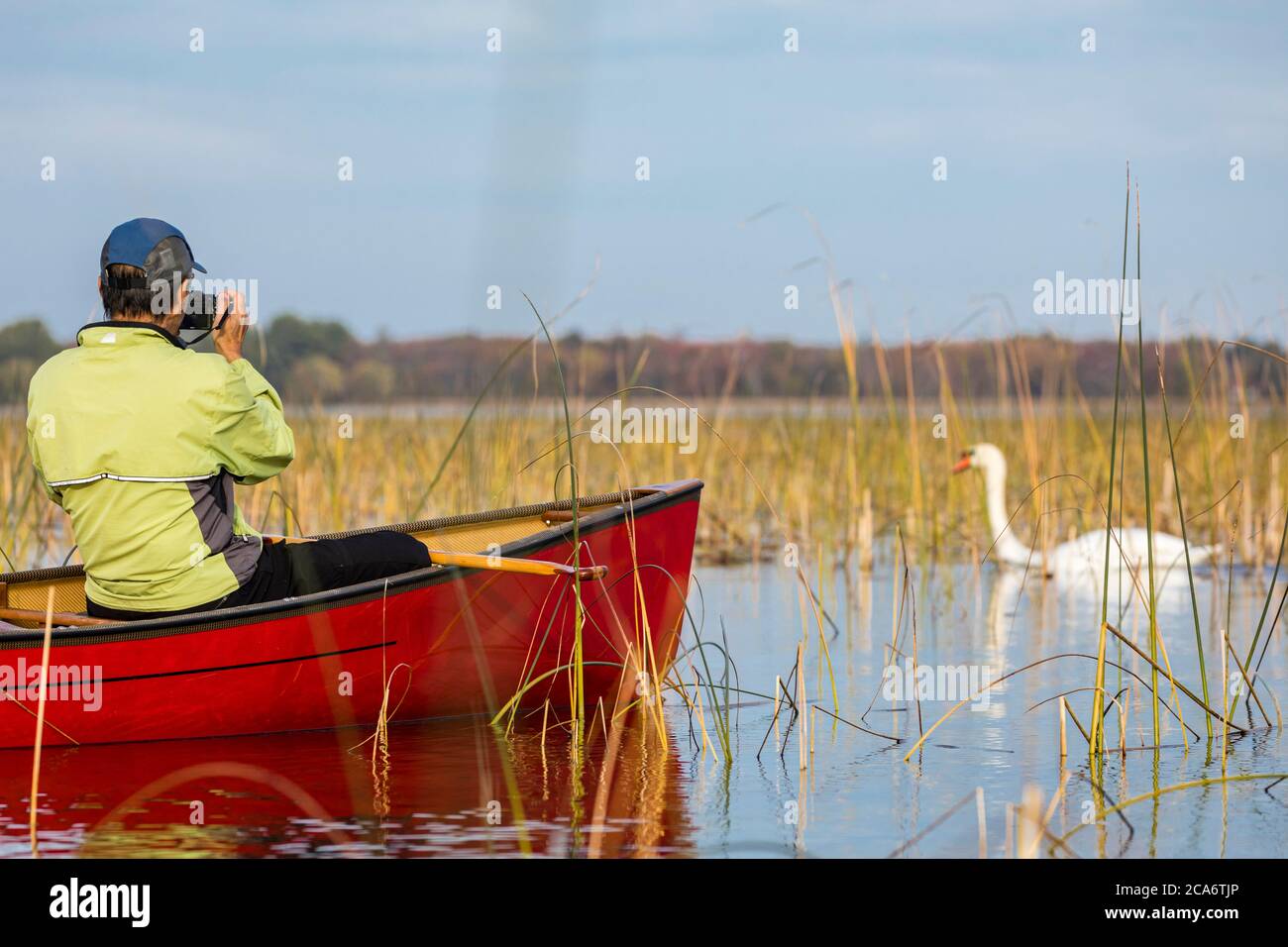 Person photographing wildlife hi-res stock photography and images - Alamy