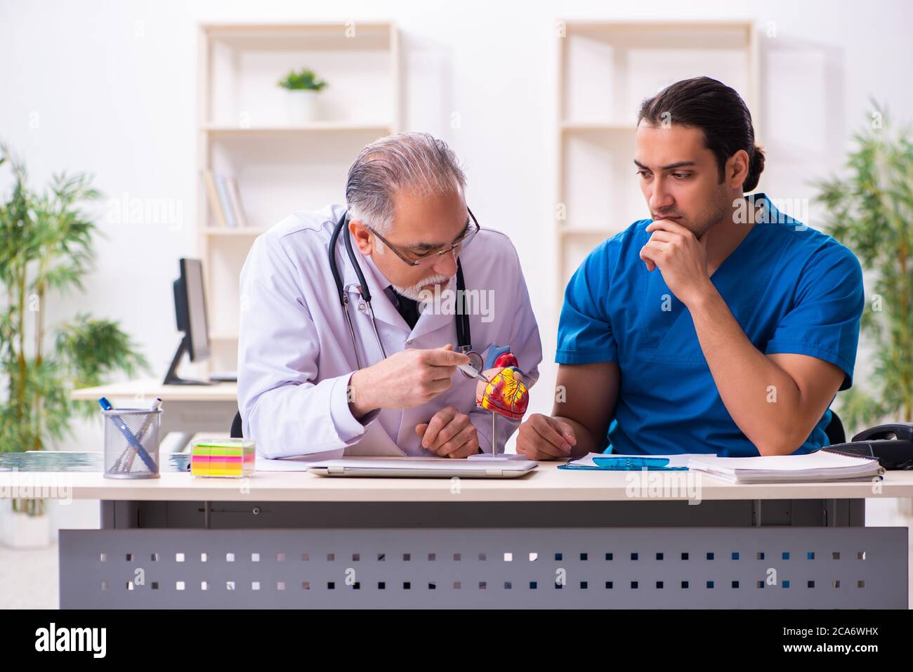 Two male doctors working in the modern clinic Stock Photo - Alamy