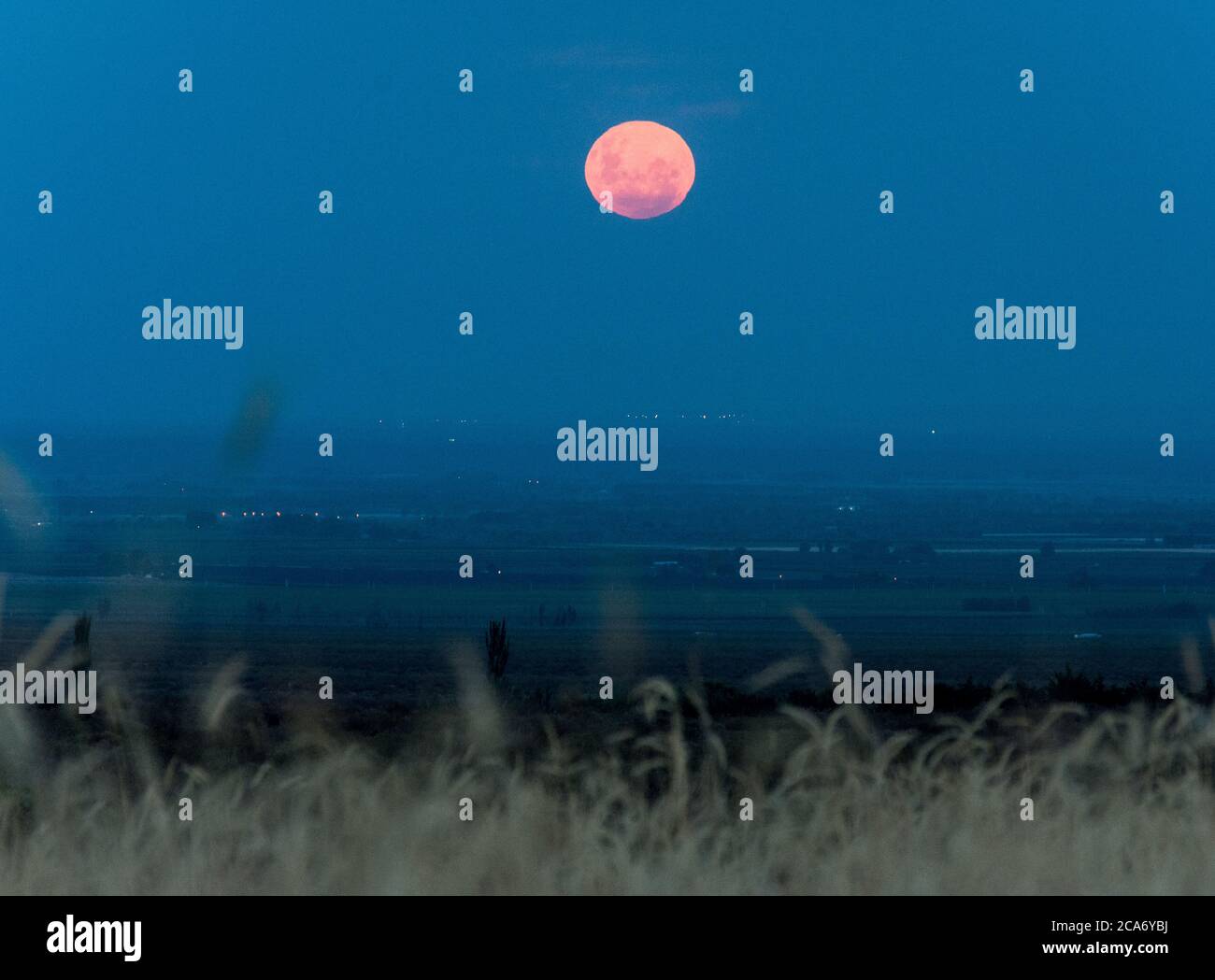 Golden moon road hi-res stock photography and images - Alamy