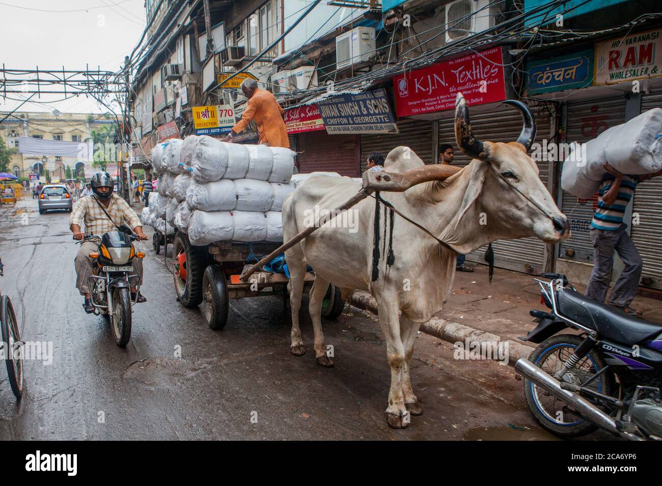 Traditional indian ox cart transport hi-res stock photography and ...