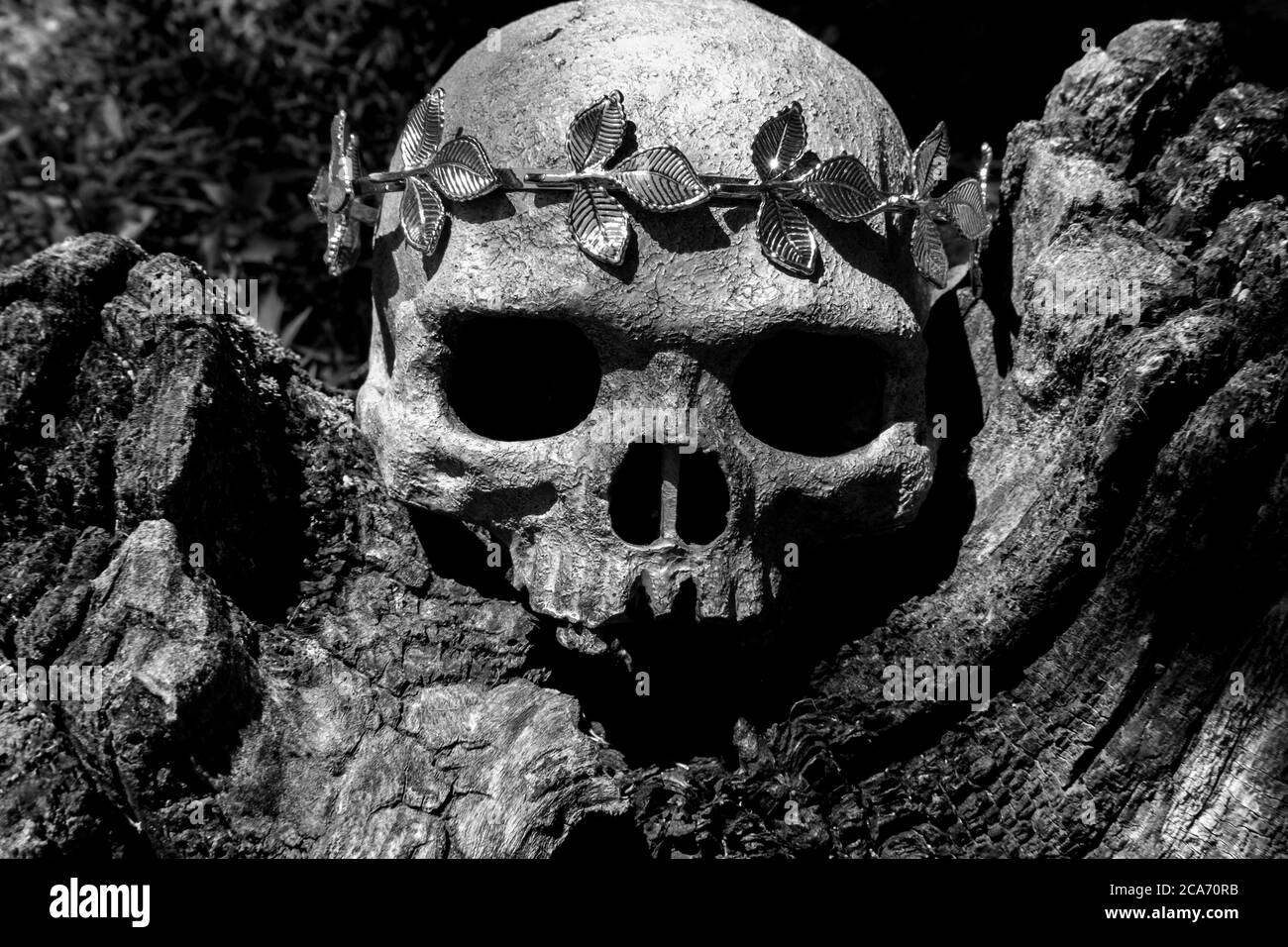 Human skeleton skull of King or Queen wearing royal gold leaf crown ...