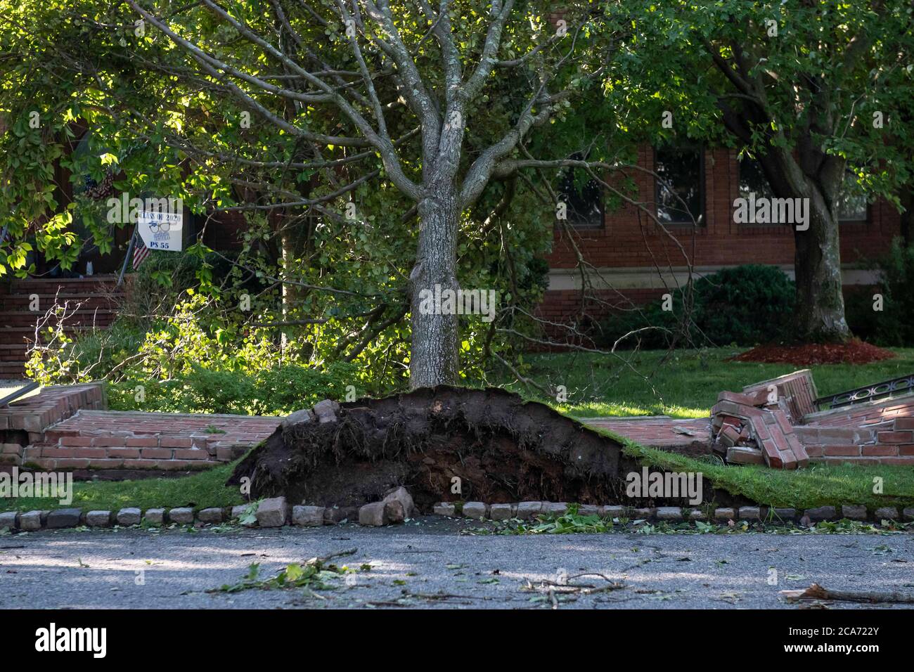 August 04, 2020: A tree is ripped out of the ground and crashes through ...