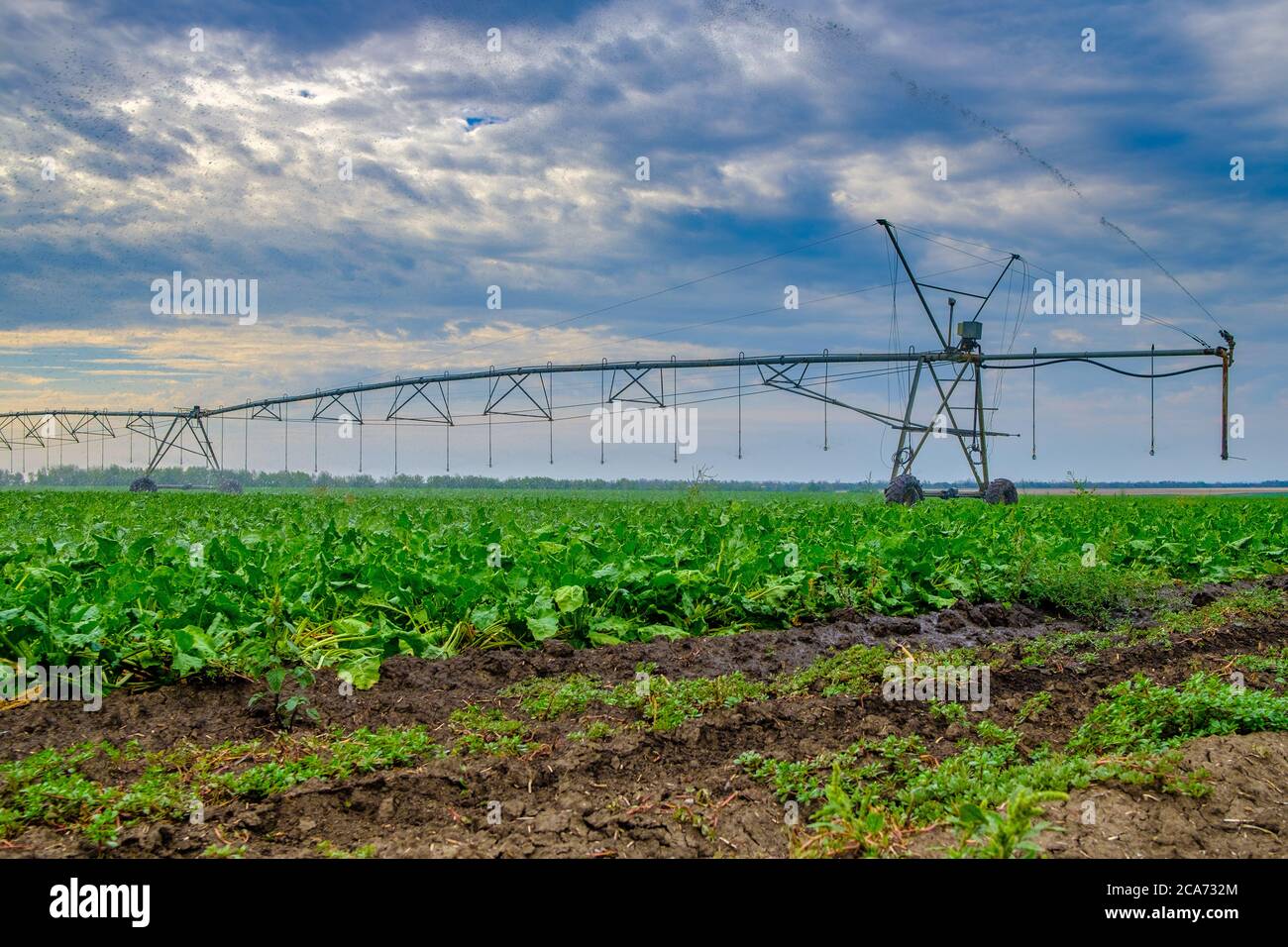 Self propelled irrigation system hi-res stock photography and images ...