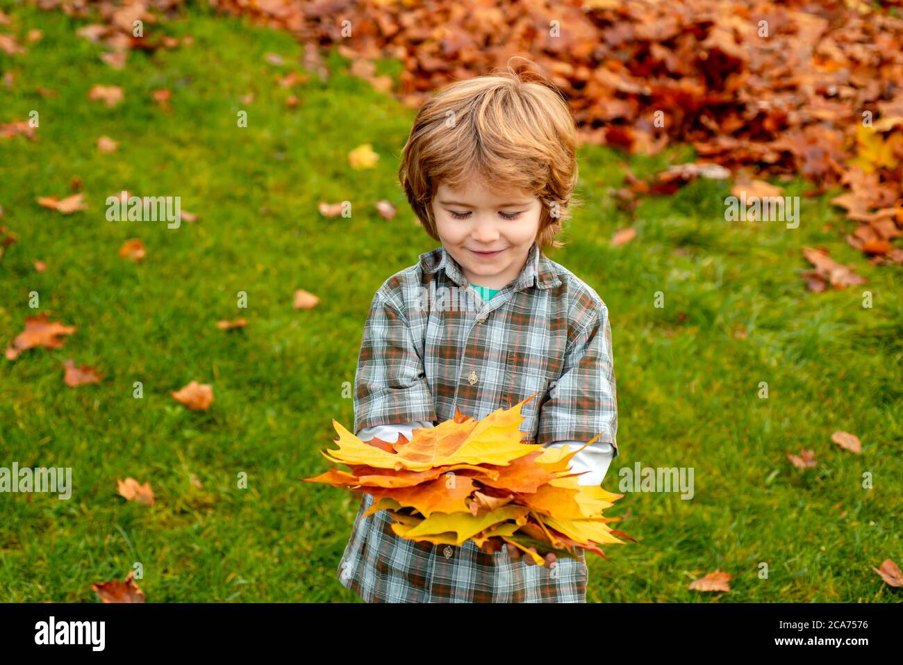 Autumn kids portrait. Happy child, little boy laughing and playing in ...