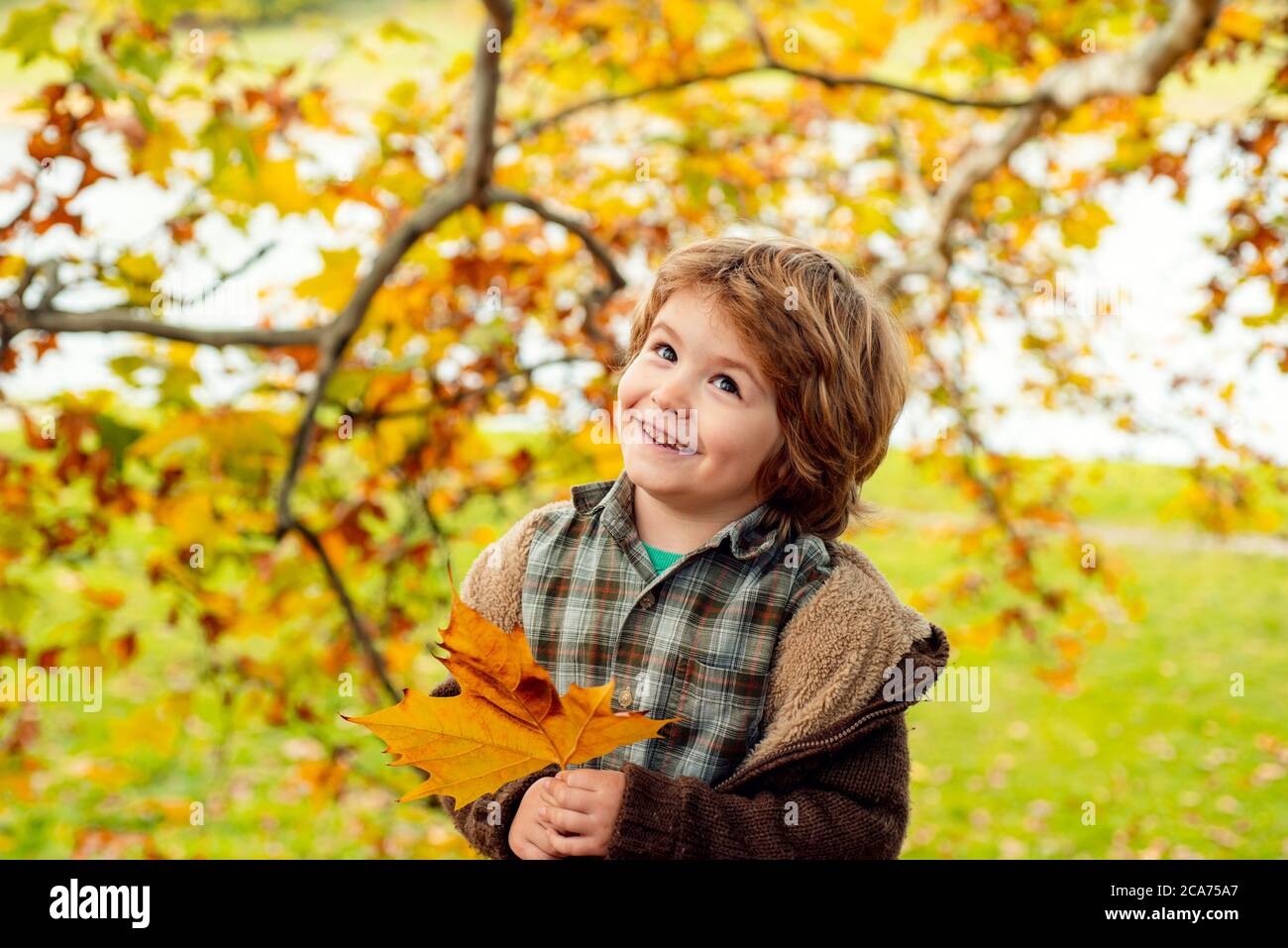 Autumn kids. Beautiful outdoor autumn portrait of toddler child boy ...
