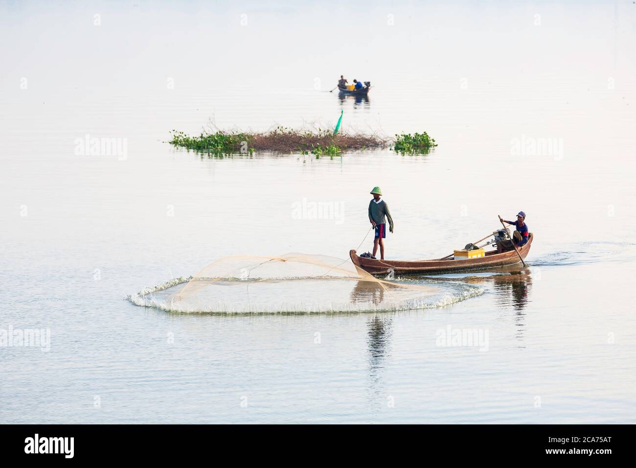Freshwater fish of myanmar hi-res stock photography and images - Alamy