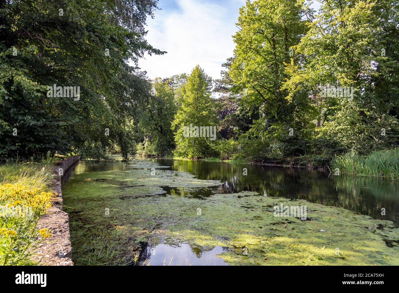 Little Ouse River, Thetford, Norfolk Stock Photo - Alamy