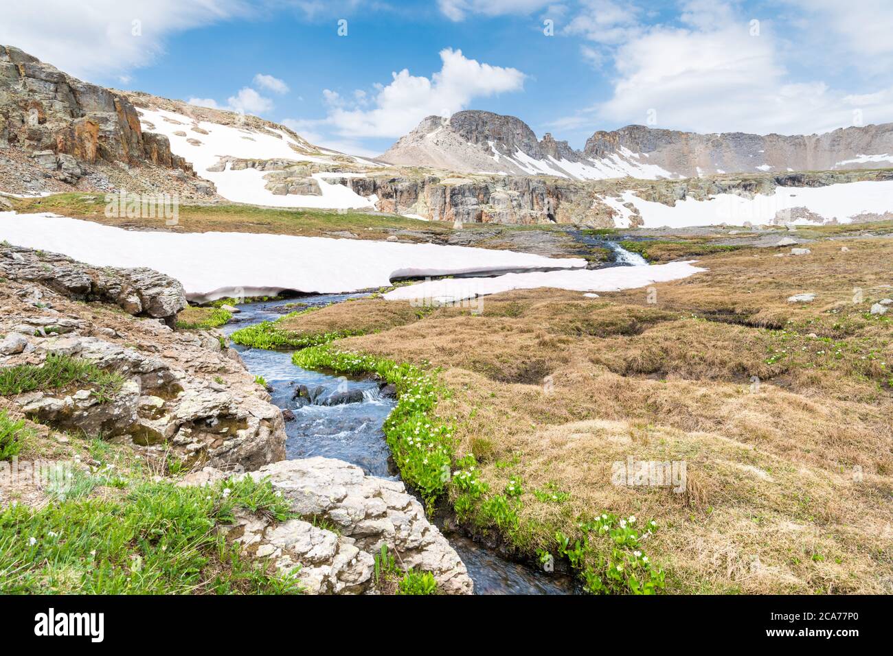 A stream bordered by wildflowers in an alpine meadow beneath snow ...