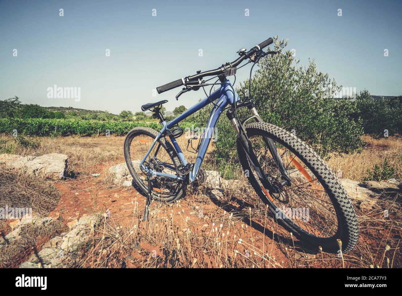 Mountain bike cycling hi-res stock photography and images - Alamy