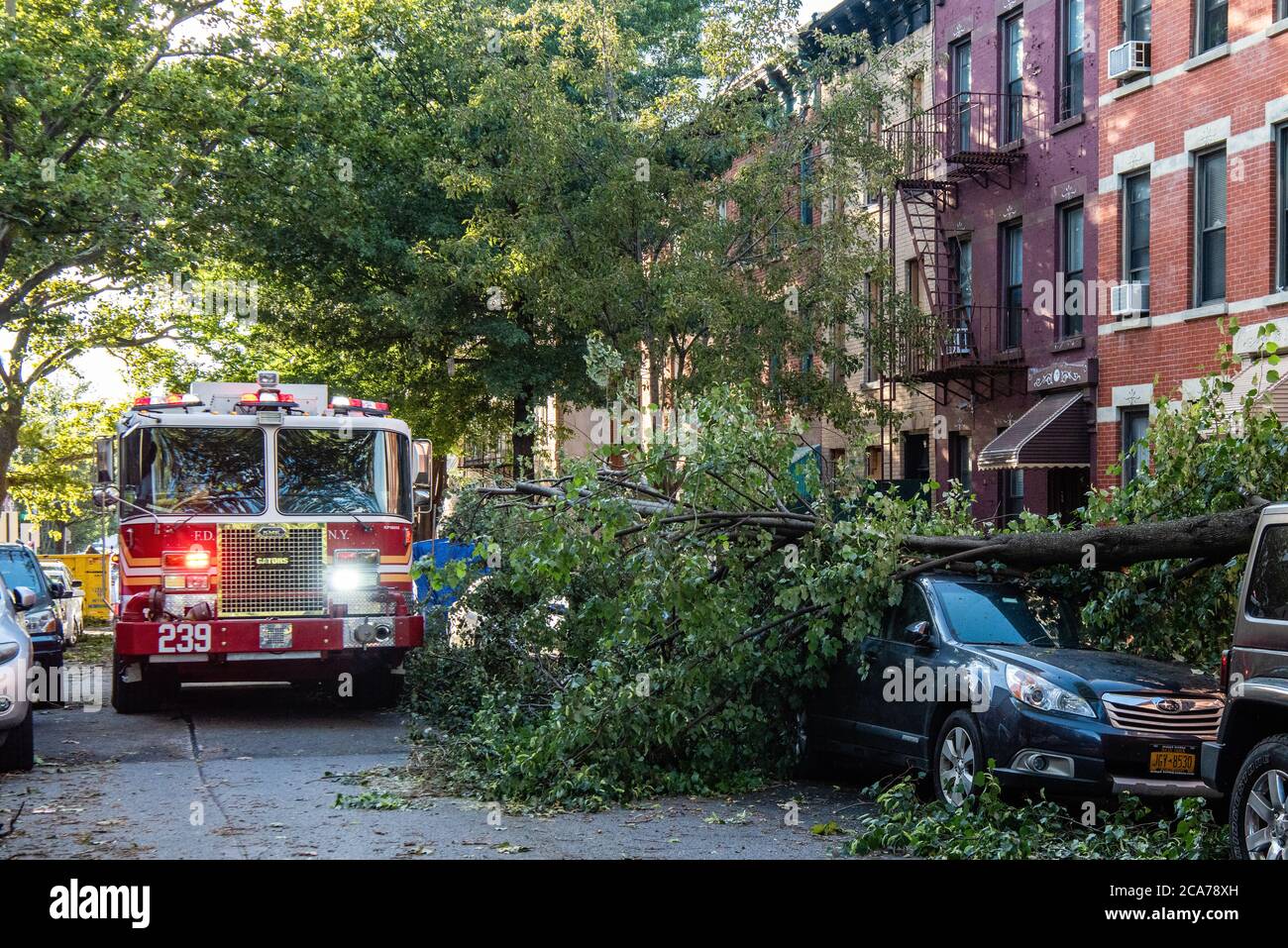 Storm ladder hi-res stock photography and images - Alamy