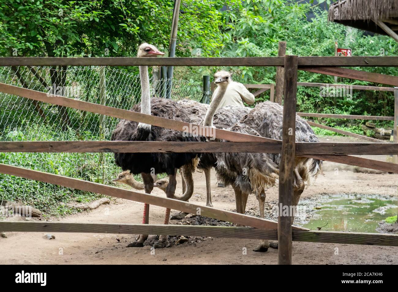 Safari park gate hi-res stock photography and images - Alamy