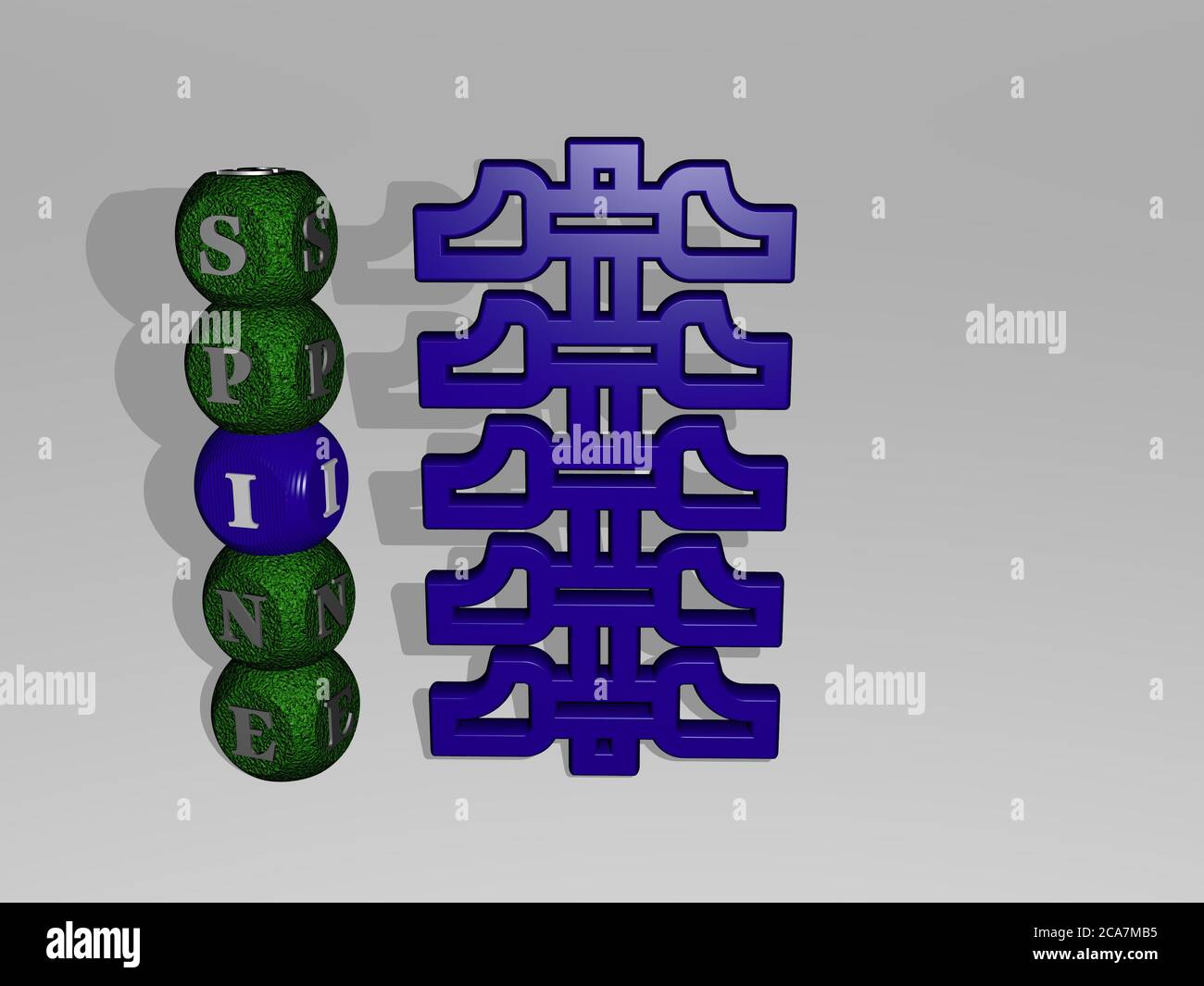 3D illustration of spine graphics and text around the icon made by ...