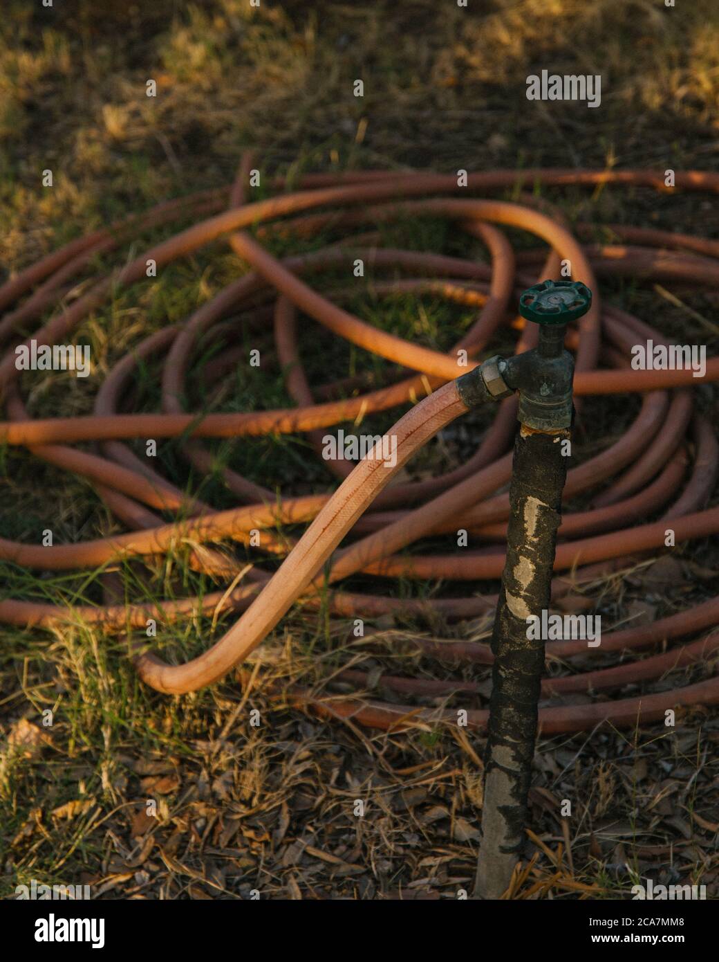 American farm hi-res stock photography and images - Alamy