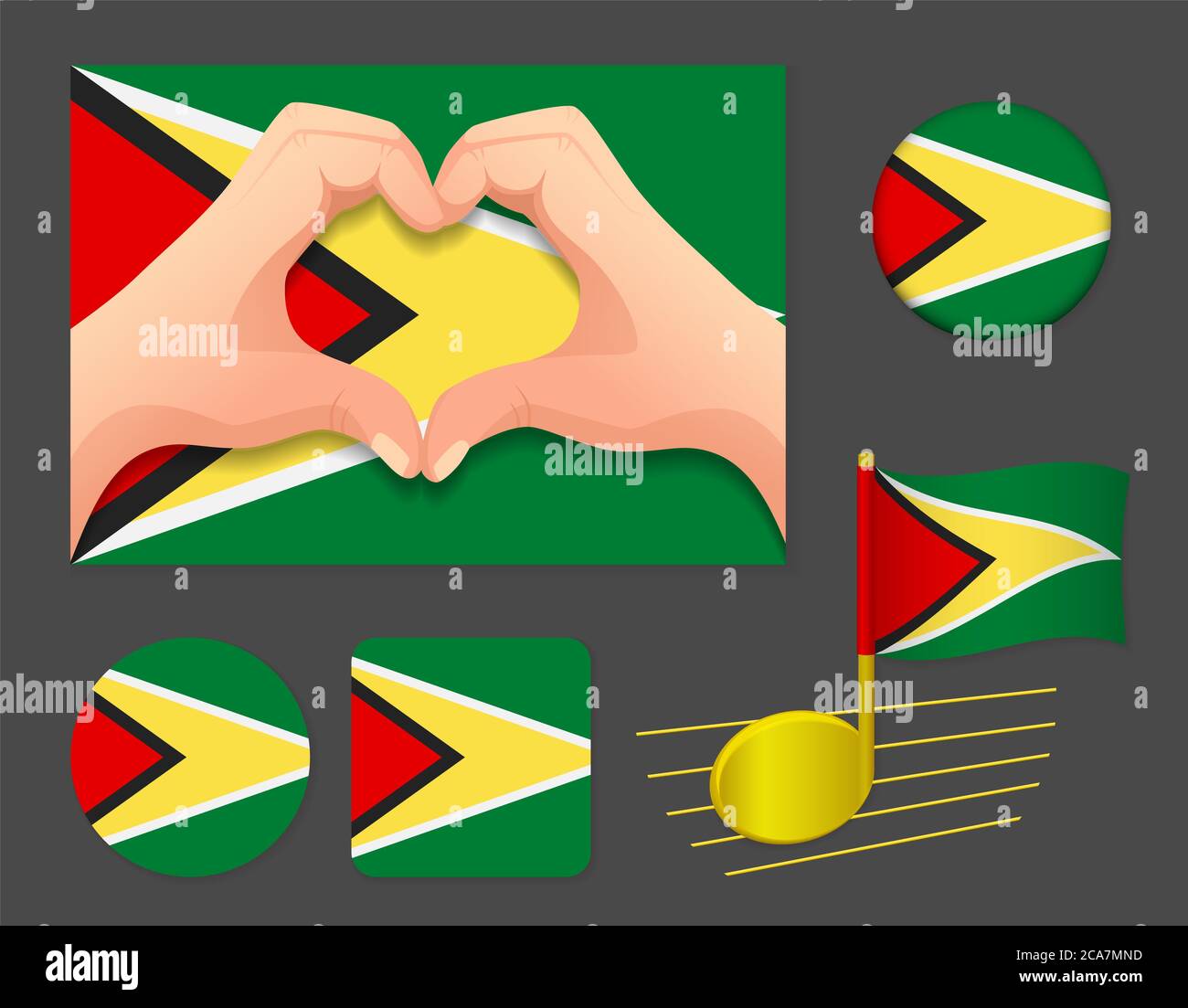 Guyana flag icon. National flag of Guyana illustration Stock Photo - Alamy