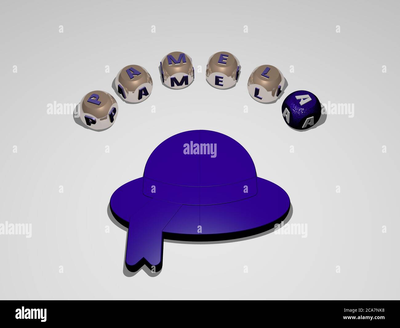 3D representation of pamela with icon on the wall and text arranged by ...