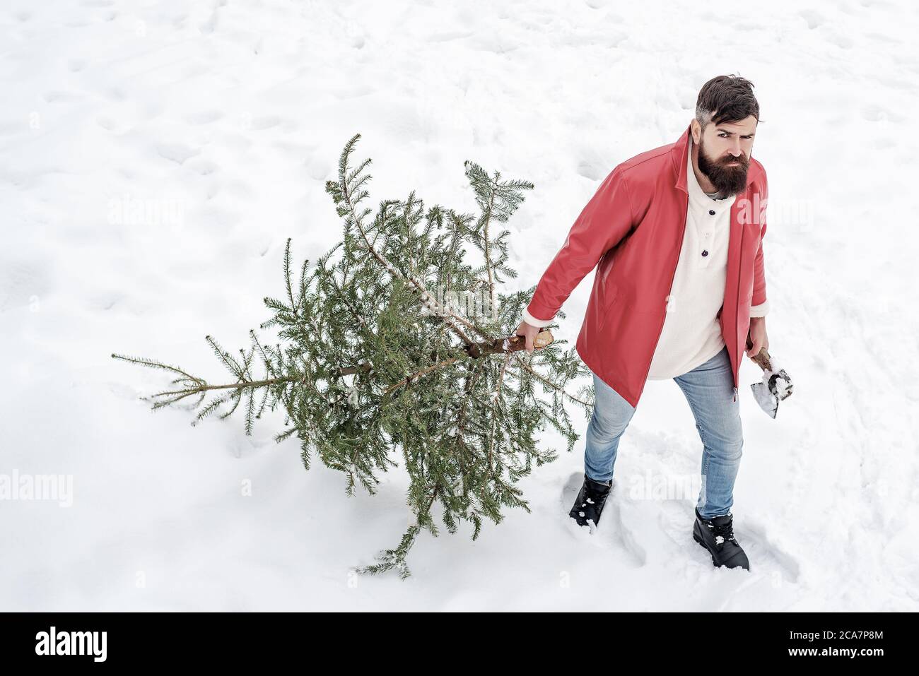 Lumberjack Santa standing with axe and christmas tree on snow ...