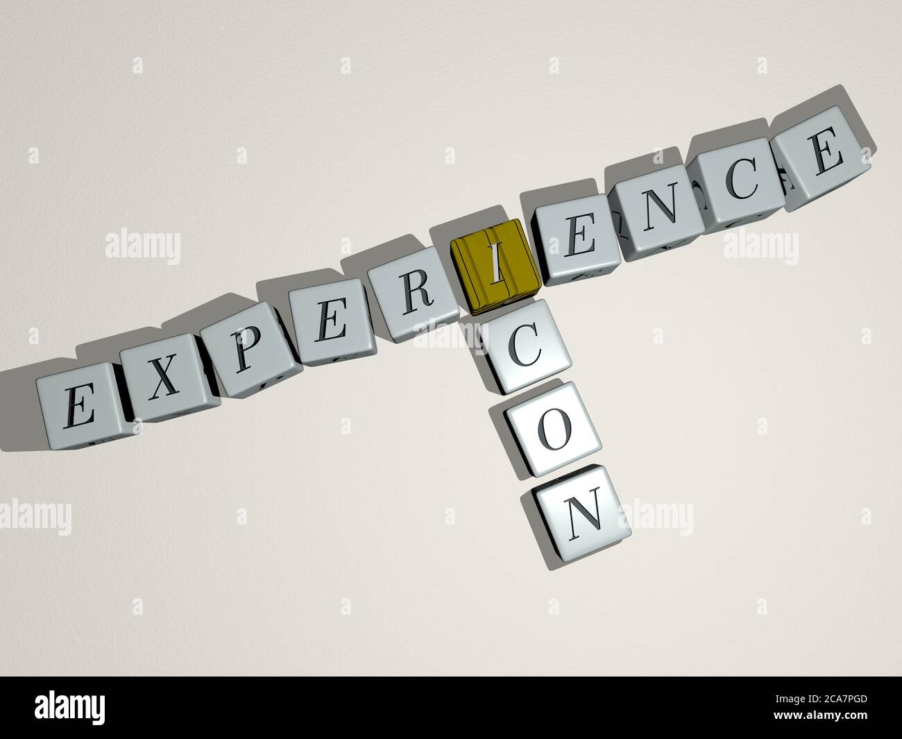 combination of EXPERIENCE ICON built by cubic letters from the top ...