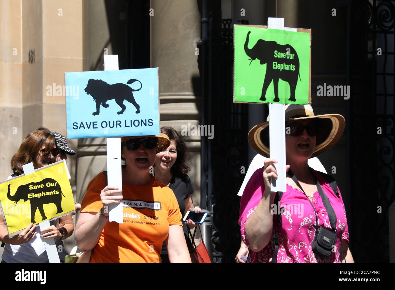 Elephants rally hi-res stock photography and images - Alamy