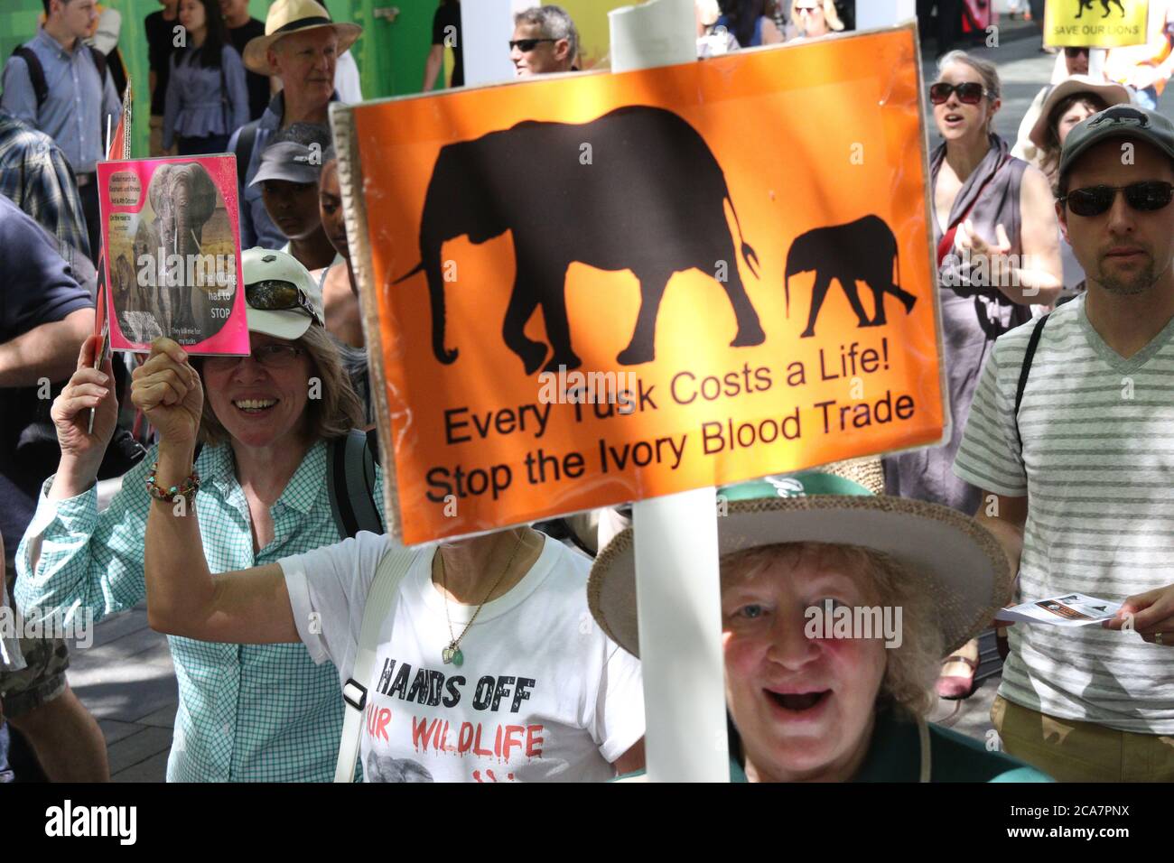 Elephants rally hi-res stock photography and images - Alamy