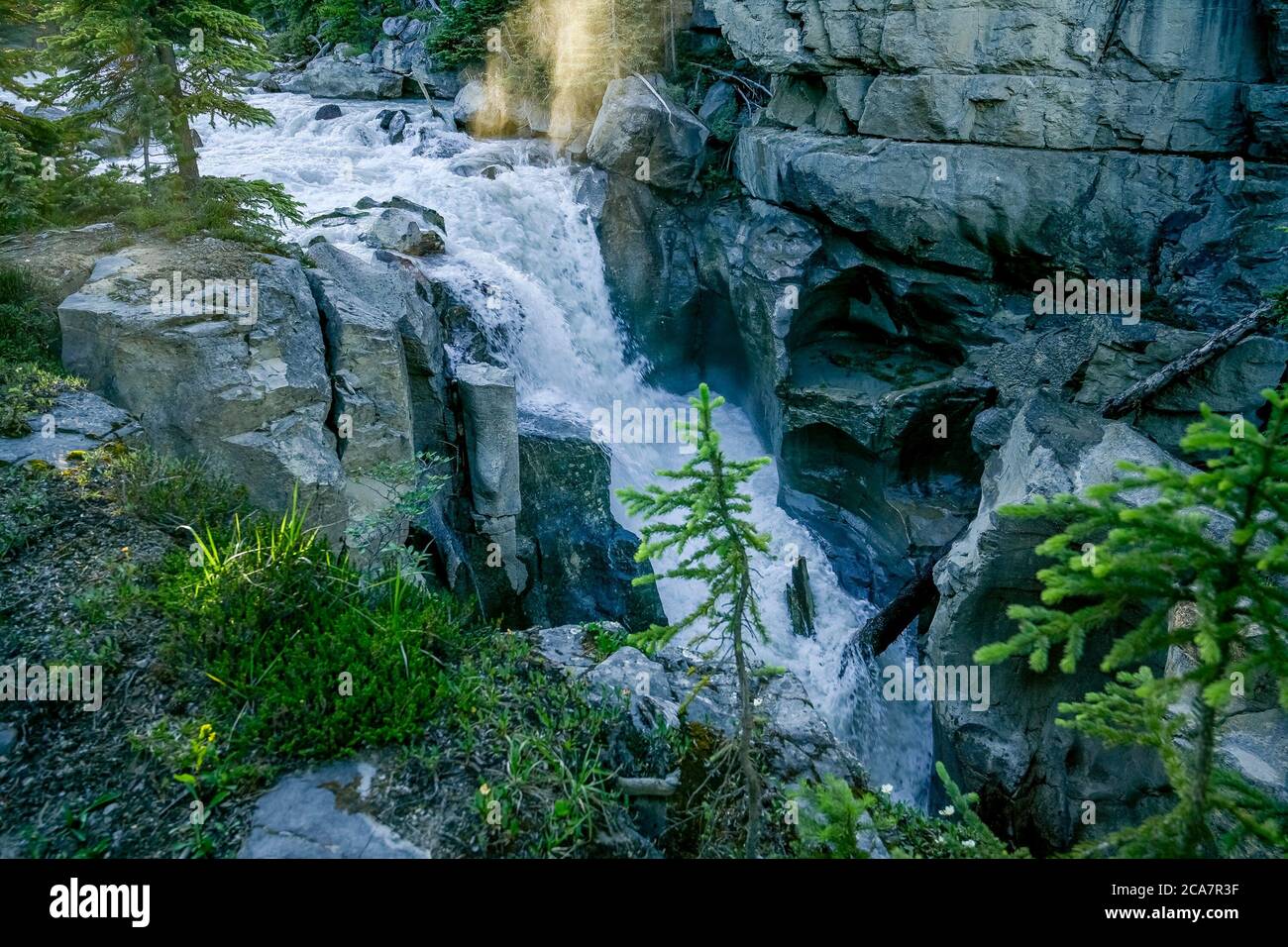 Waterfall, Nigel Creek, Banff National Park, Alberta Stock Photo - Alamy