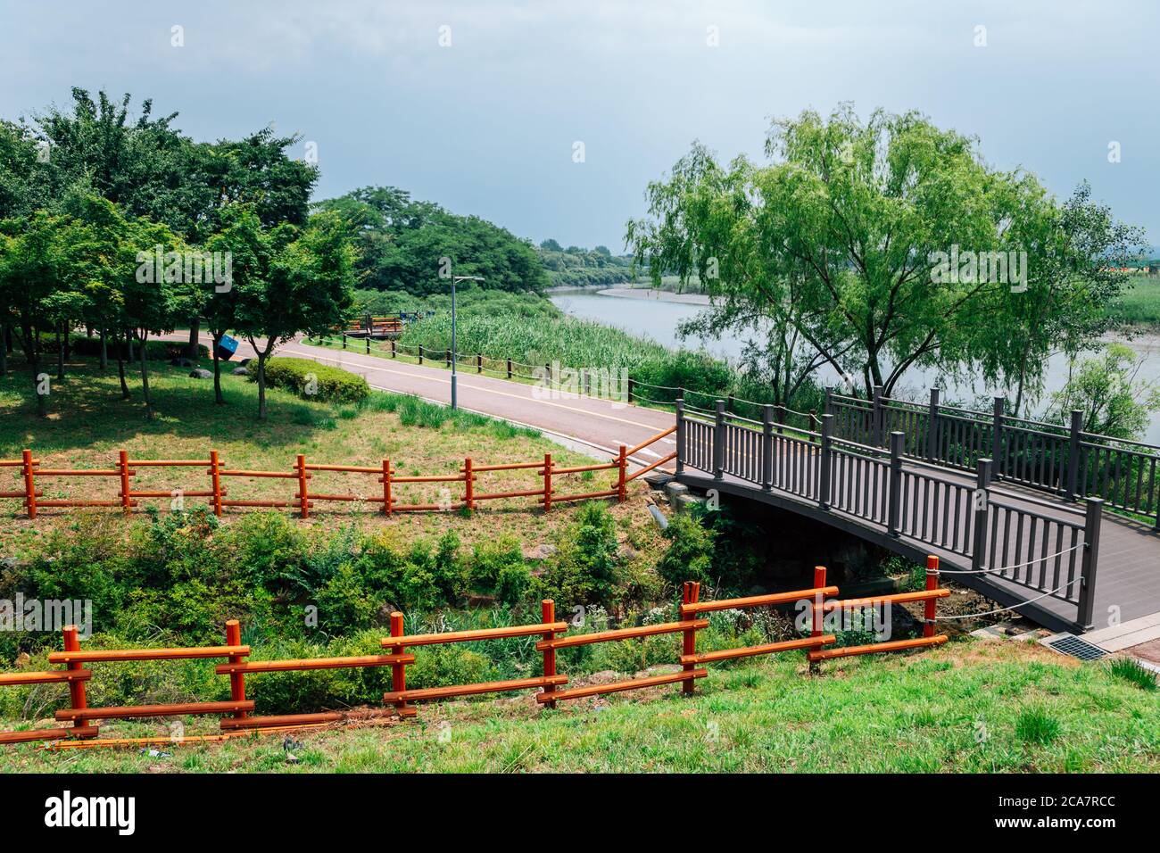 Summer of Ansan Reed Marsh Park in Ansan, Korea Stock Photo - Alamy