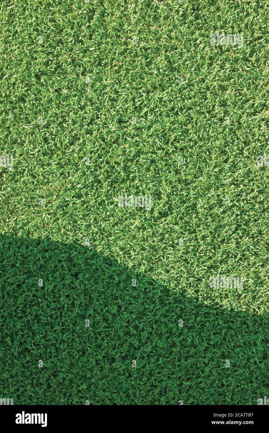 Artificial grass fake turf synthetic lawn field macro closeup, gentle ...
